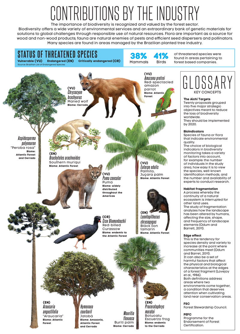 Planted Trees and Biodiversity - CIFOR-ICRAF Knowledge: Infographic