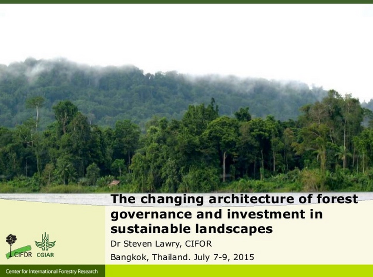 The changing architecture of forest governance and investment in ...