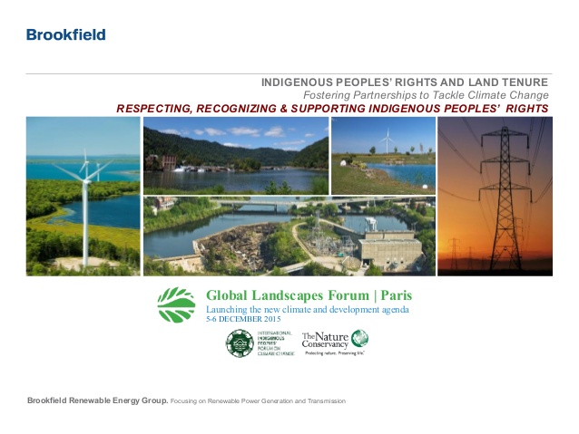 Respecting, recognizing and supporting Indigenous peoples’ rights ...