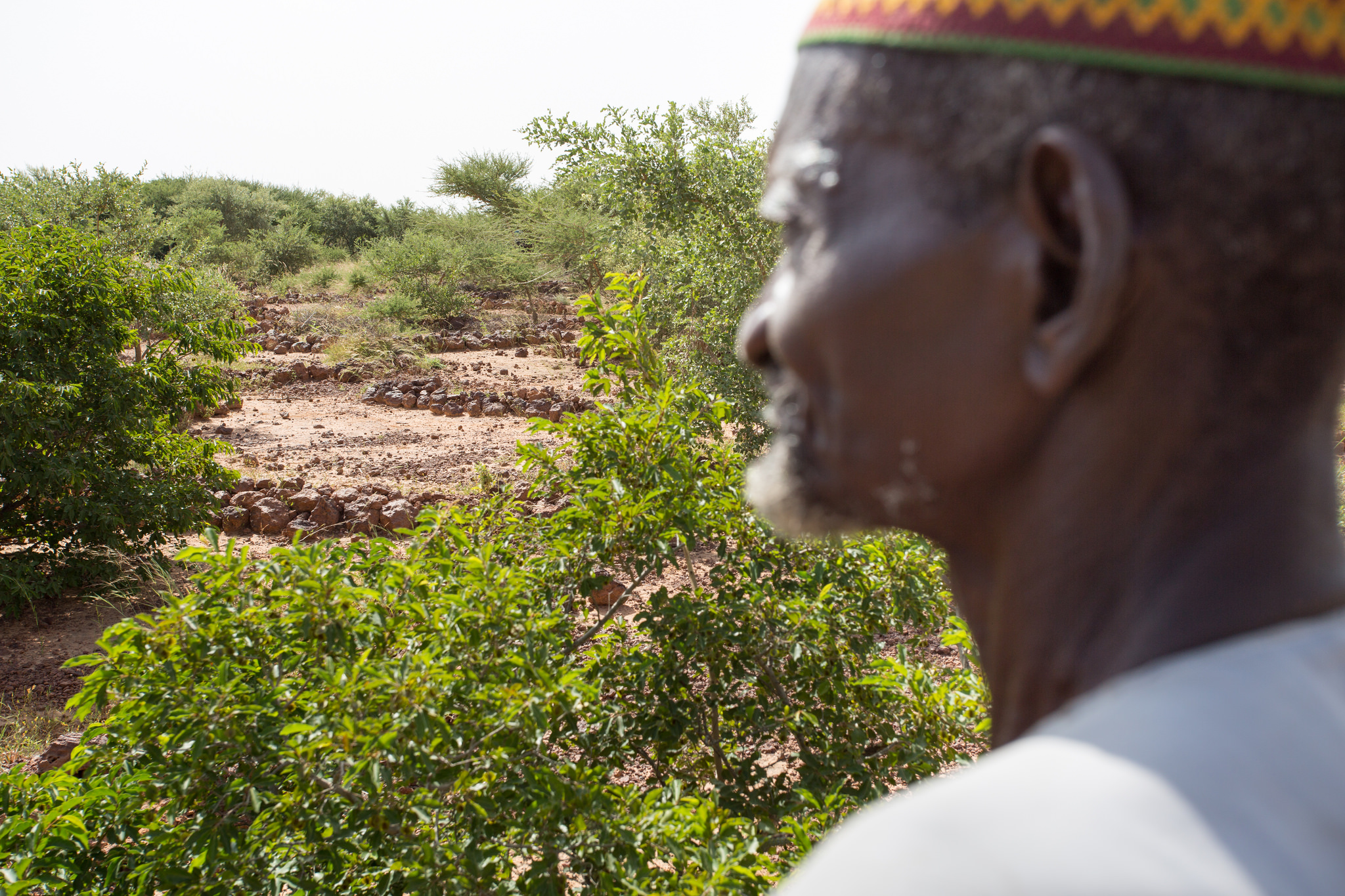 Niger hosts AFR100, paves a way forward for implementing Forest and Landscape Restoration on the ...