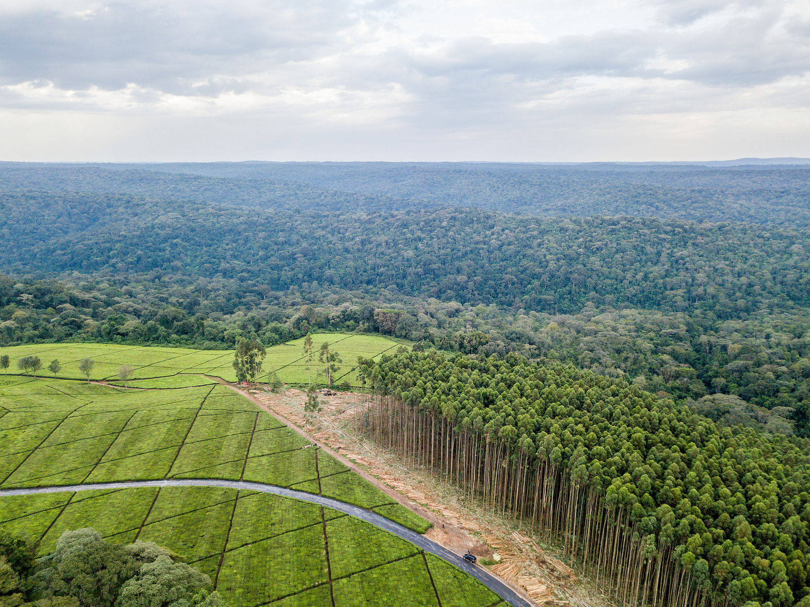 GLF News - Global Landscapes Forum