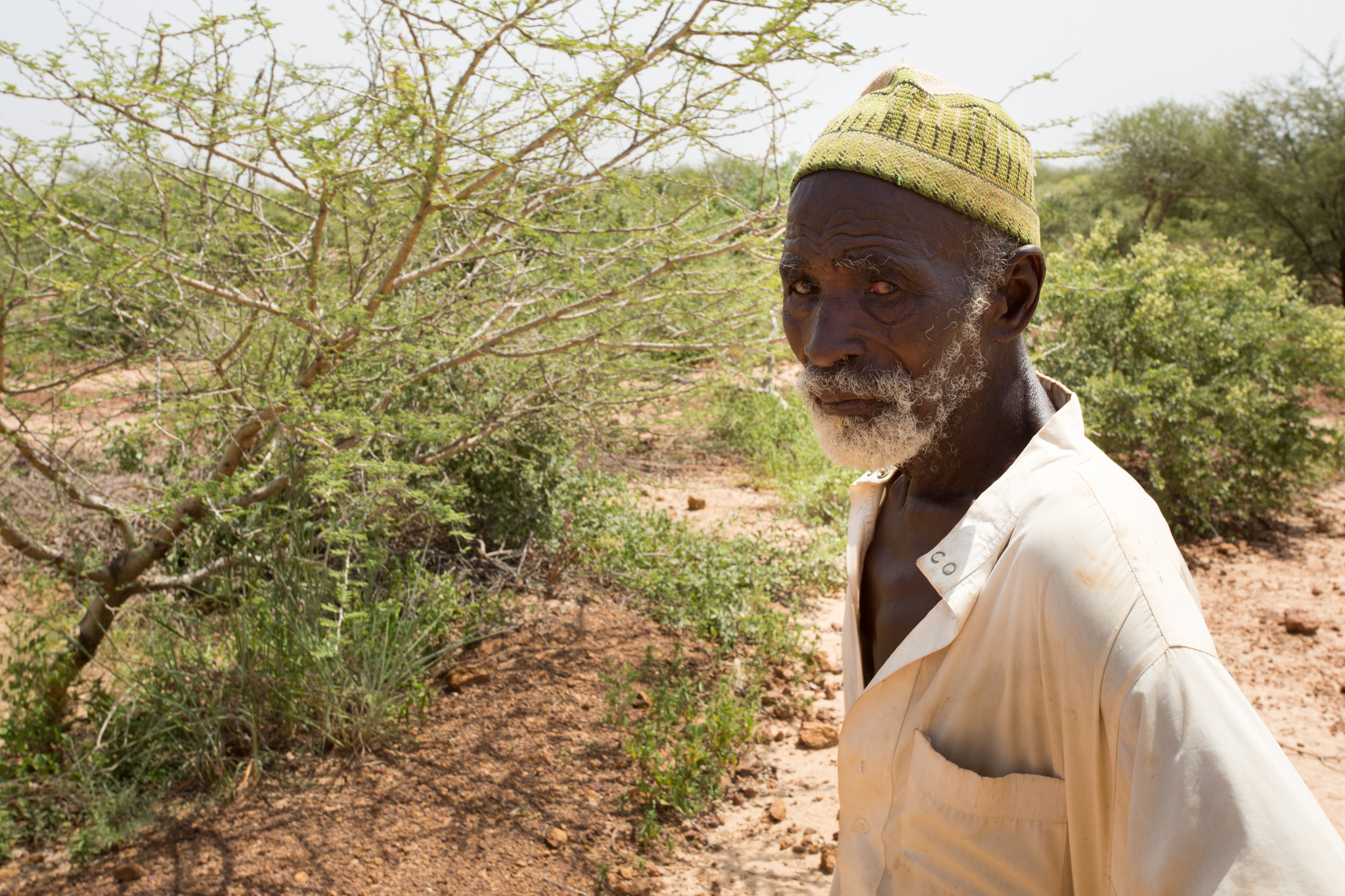 AFR100: Gateway to sustainable livelihoods and poverty eradication in Africa - CIFOR-ICRAF Knowledge