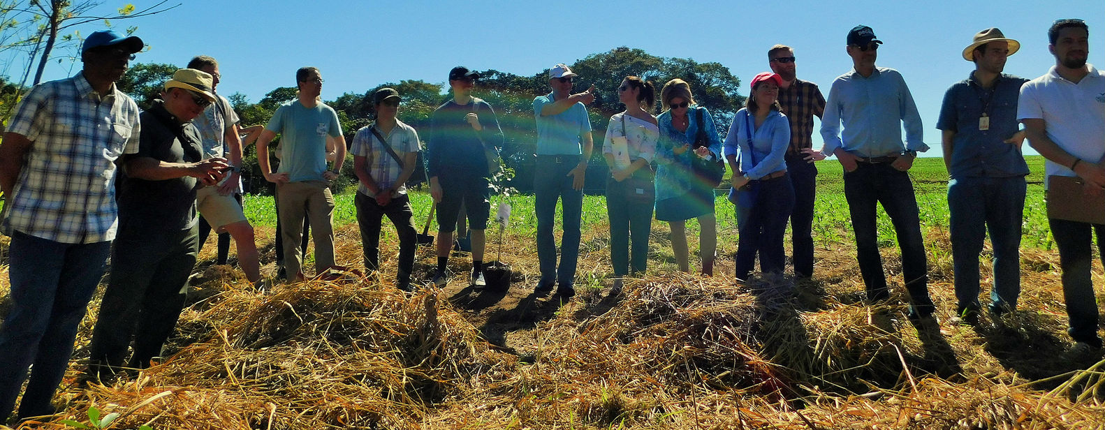 Bonn Challenge: New solutions urged for financing landscape restoration ...