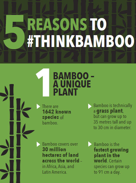 5 reasons to think bamboo