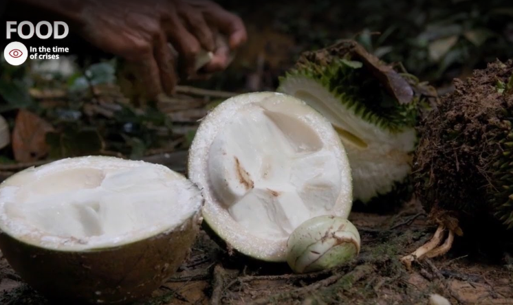 Video: Securing food and nutrition in a time of crisis: the role of ...