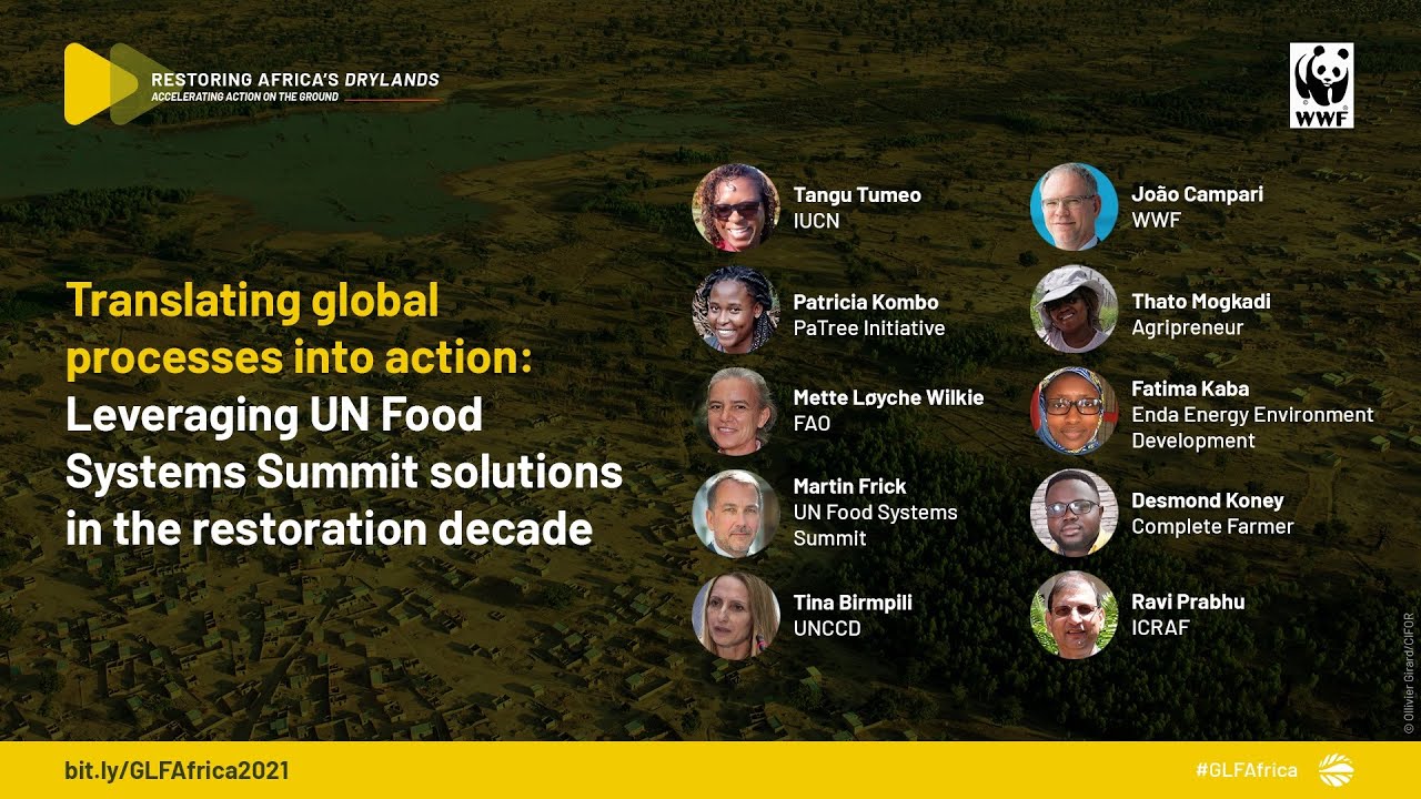 Video: Translating Global Processes into Action: Leveraging UN Food Systems Summit Solutions in ...