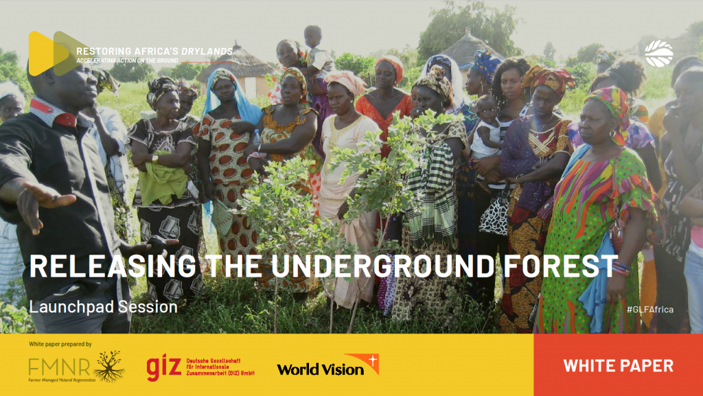 Publication: Releasing the Underground Forest - Global Landscapes Forum