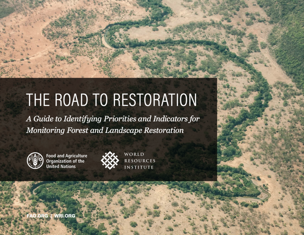 Publication: The Road to Restoration: A Guide to Identifying Priorities ...