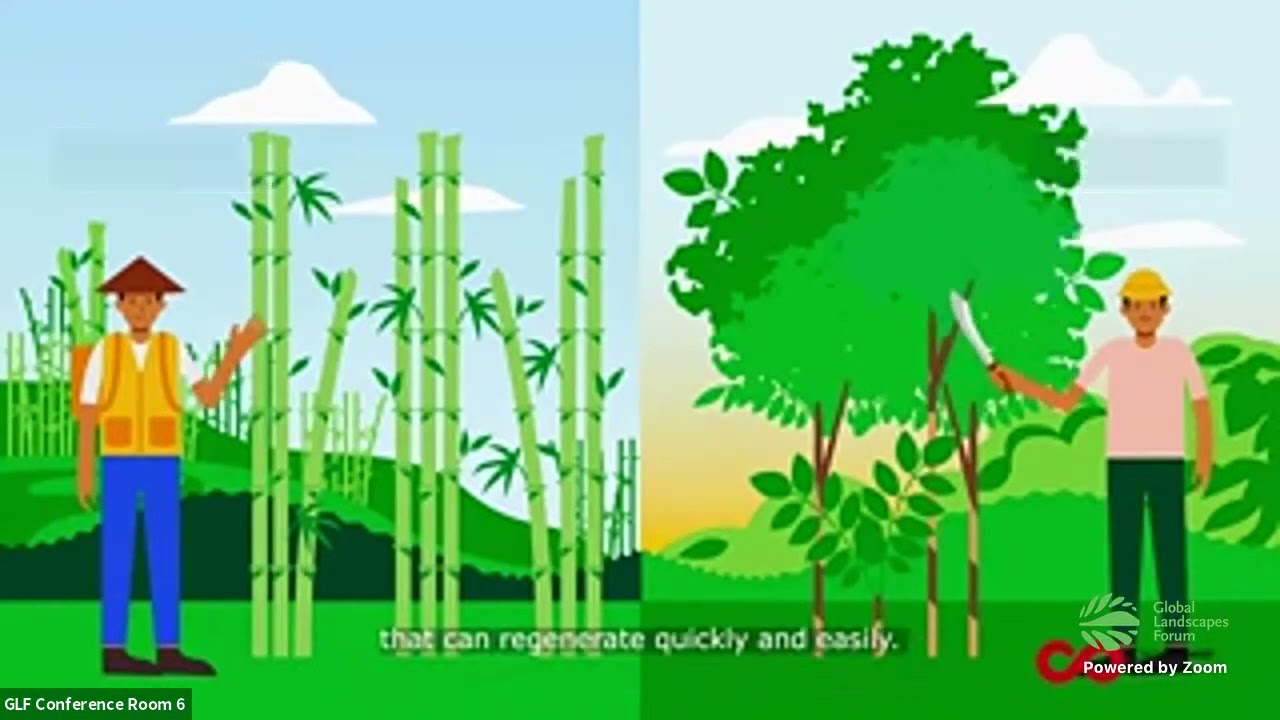 Development of community-based biomass power generation and land ...