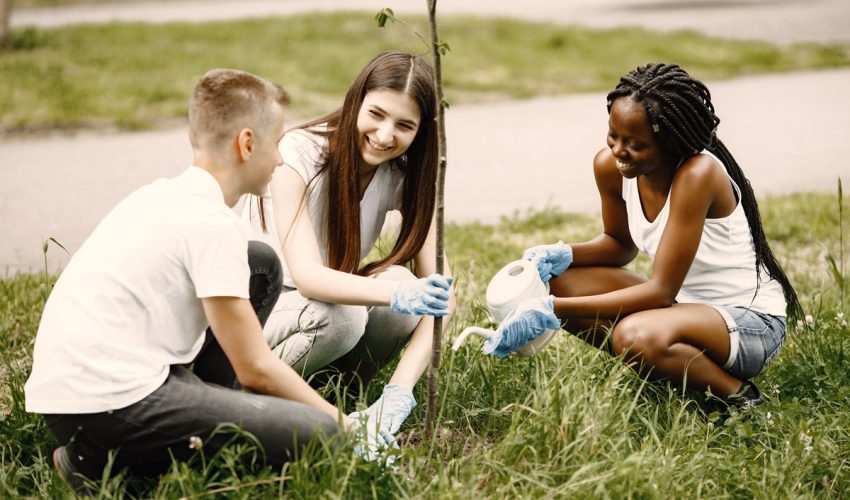 News: How to ignite ecosystem restoration in your community - Global ...