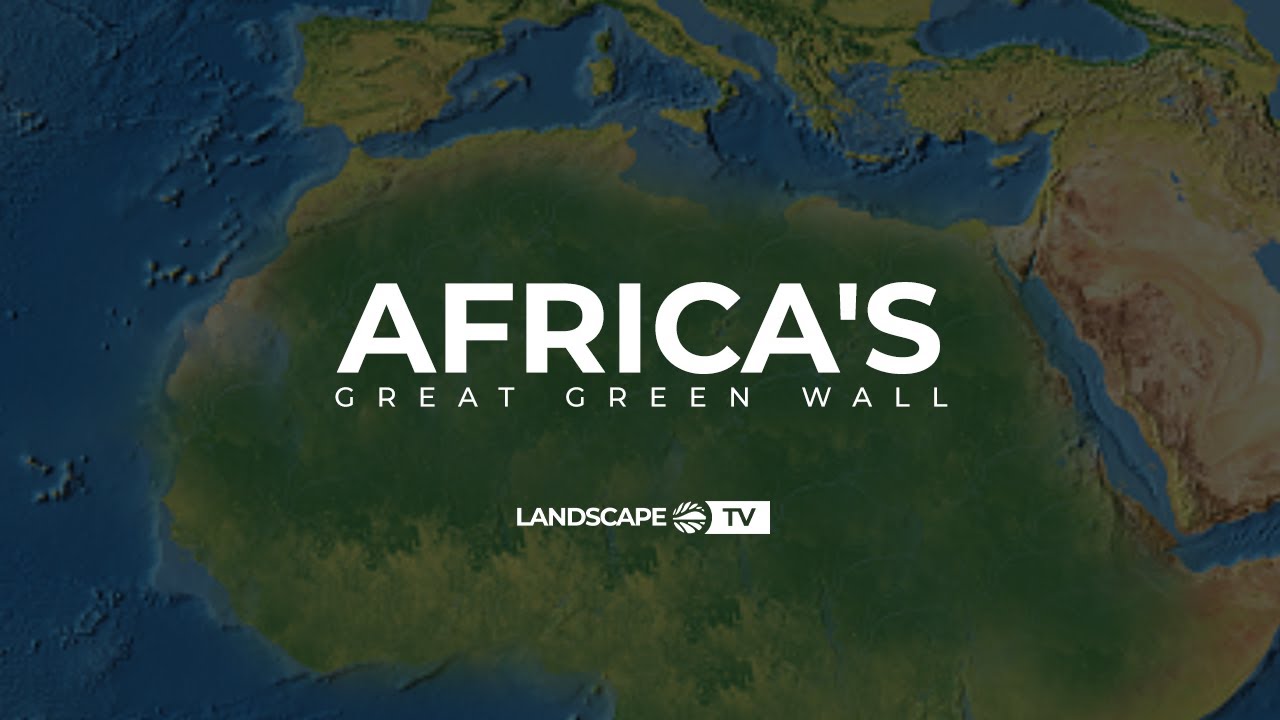 Video: How Africa’s Great Green Wall will make the Sahel green again ...