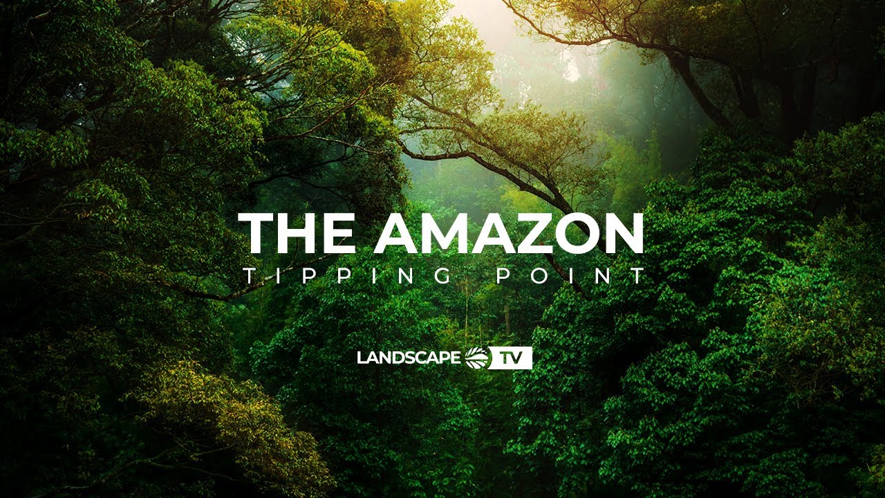 Video: Could Amazon deforestation trigger a climate tipping point ...