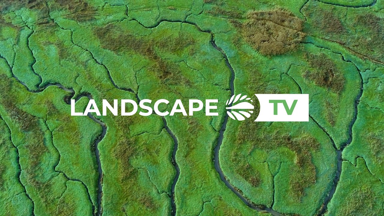 Video: Announcing Landscape TV - Global Landscapes Forum