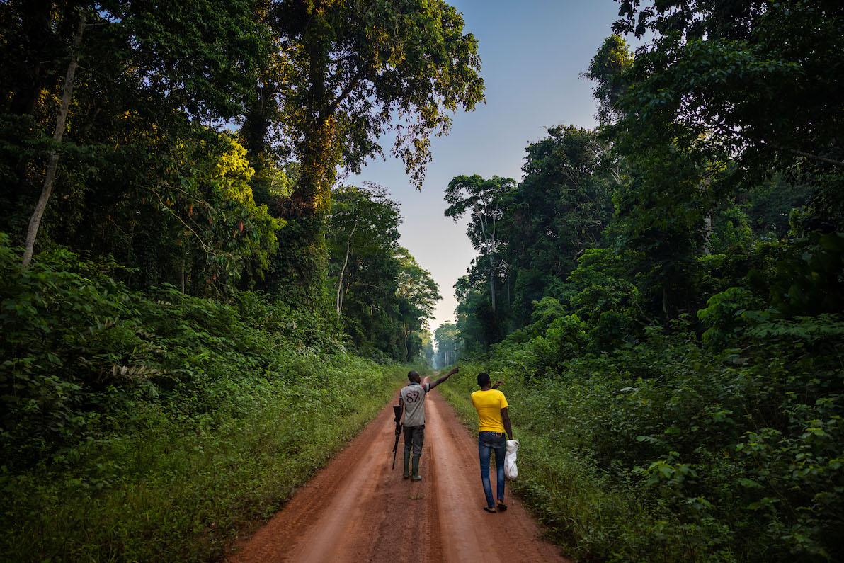 News: World's largest initiative on sustainable wild meat launches a ...