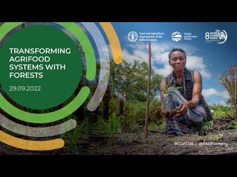 Transforming agrifood systems with forests