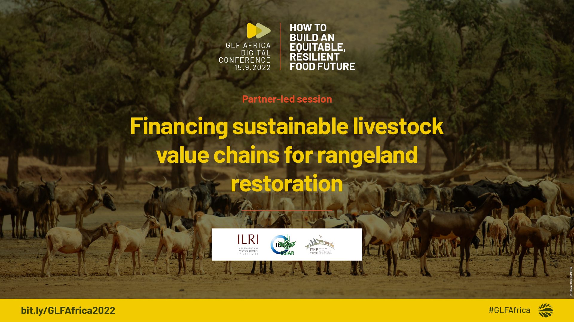 Financing sustainable livestock value chains