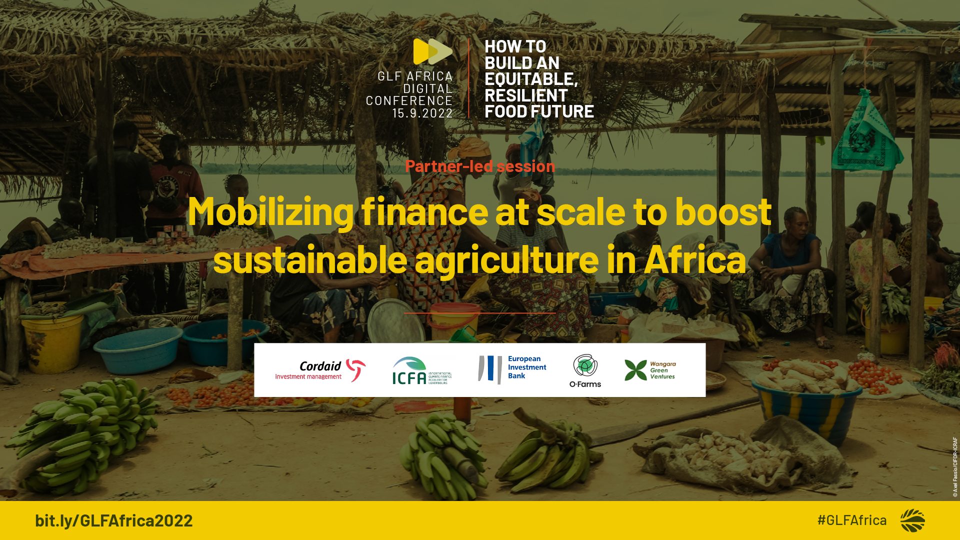 Mobilizing finance at scale to boost sustainable agriculture in Africa