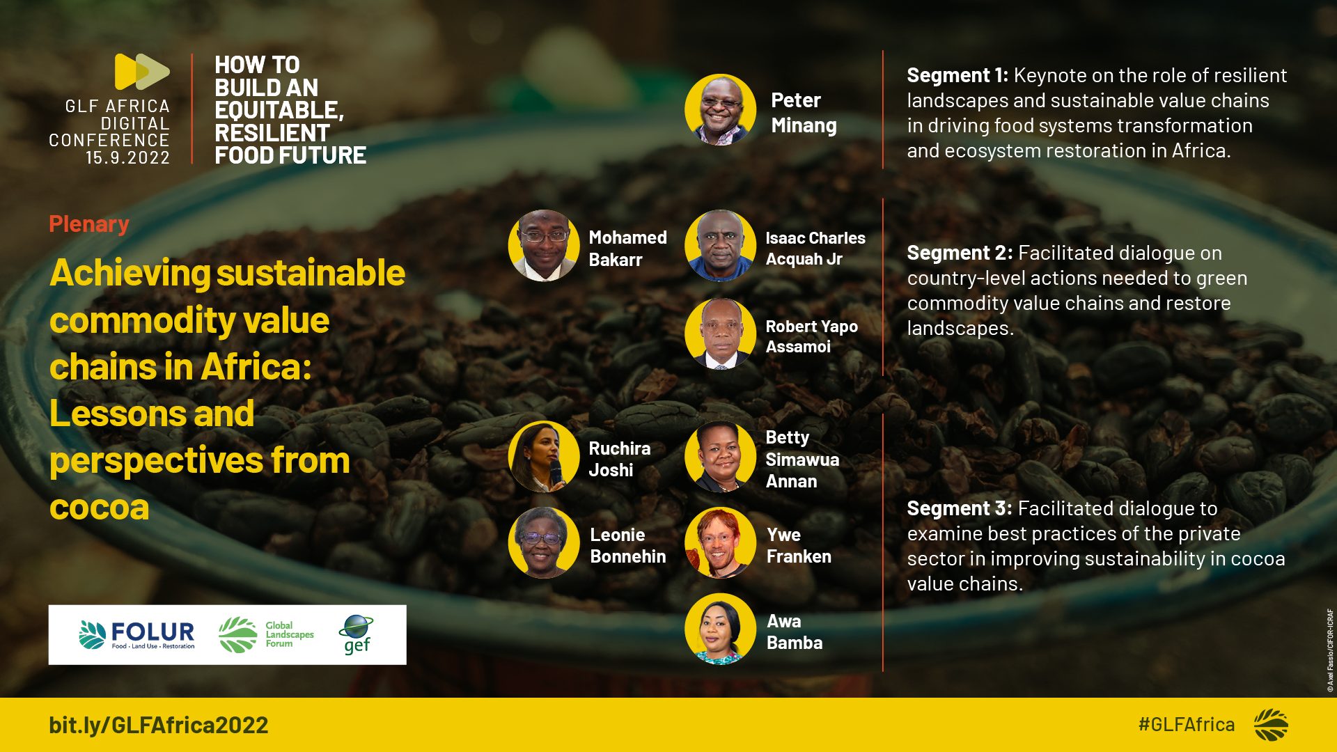 Achieving sustainable commodity value chains in Africa