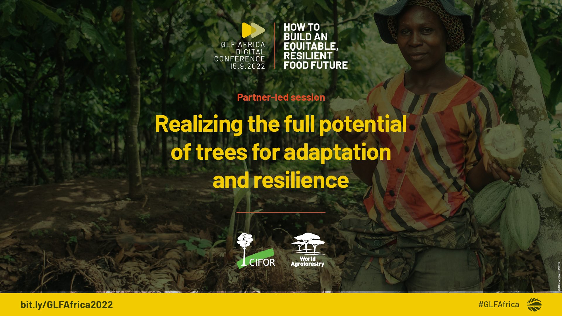 Realizing the full potential of trees for adaptation and resilience