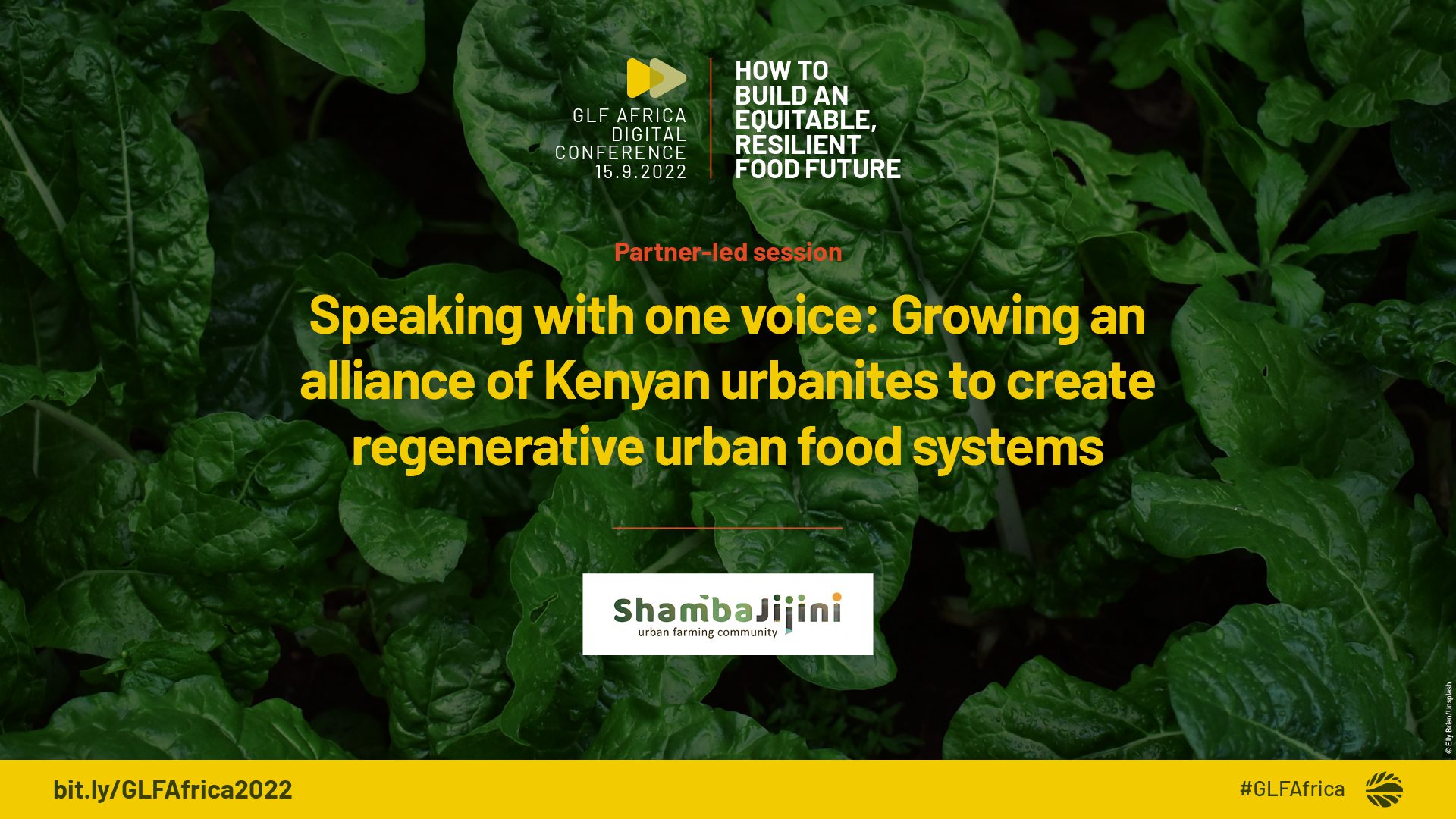 Growing an alliance to create regenerative urban food systems
