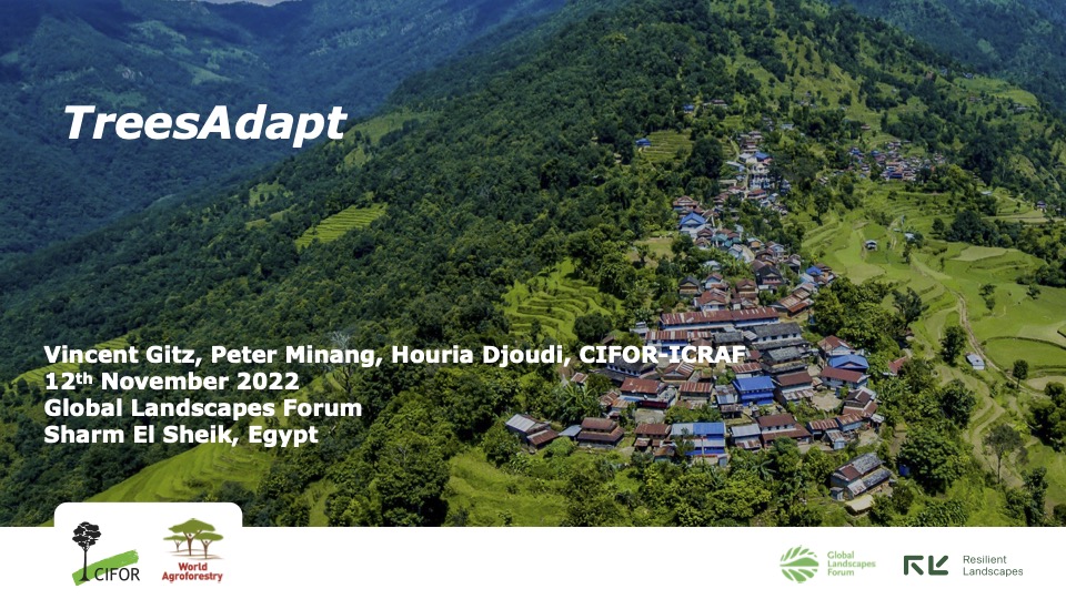 Launch of TreesAdapt