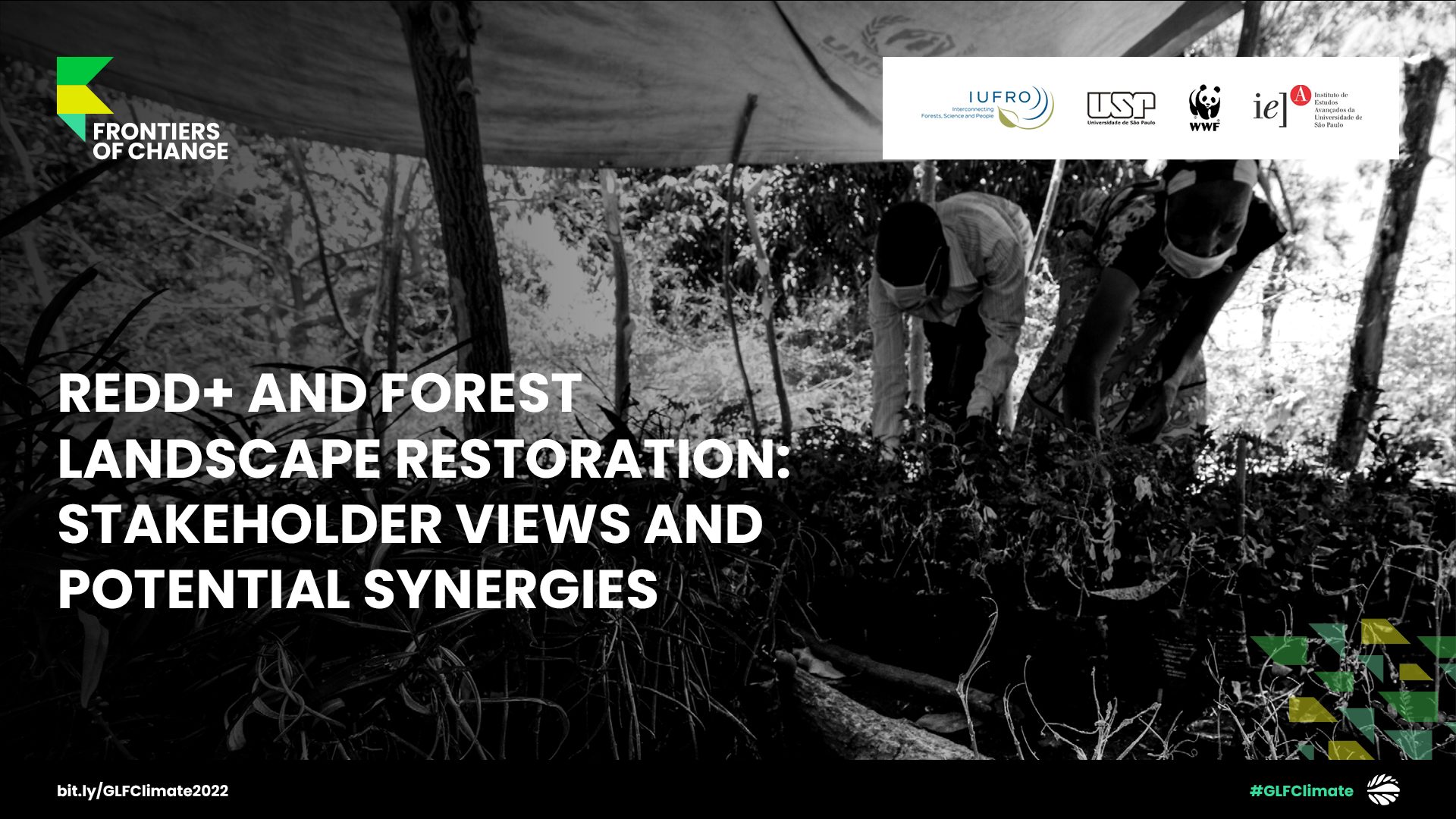 REDD+ and forest landscape restoration