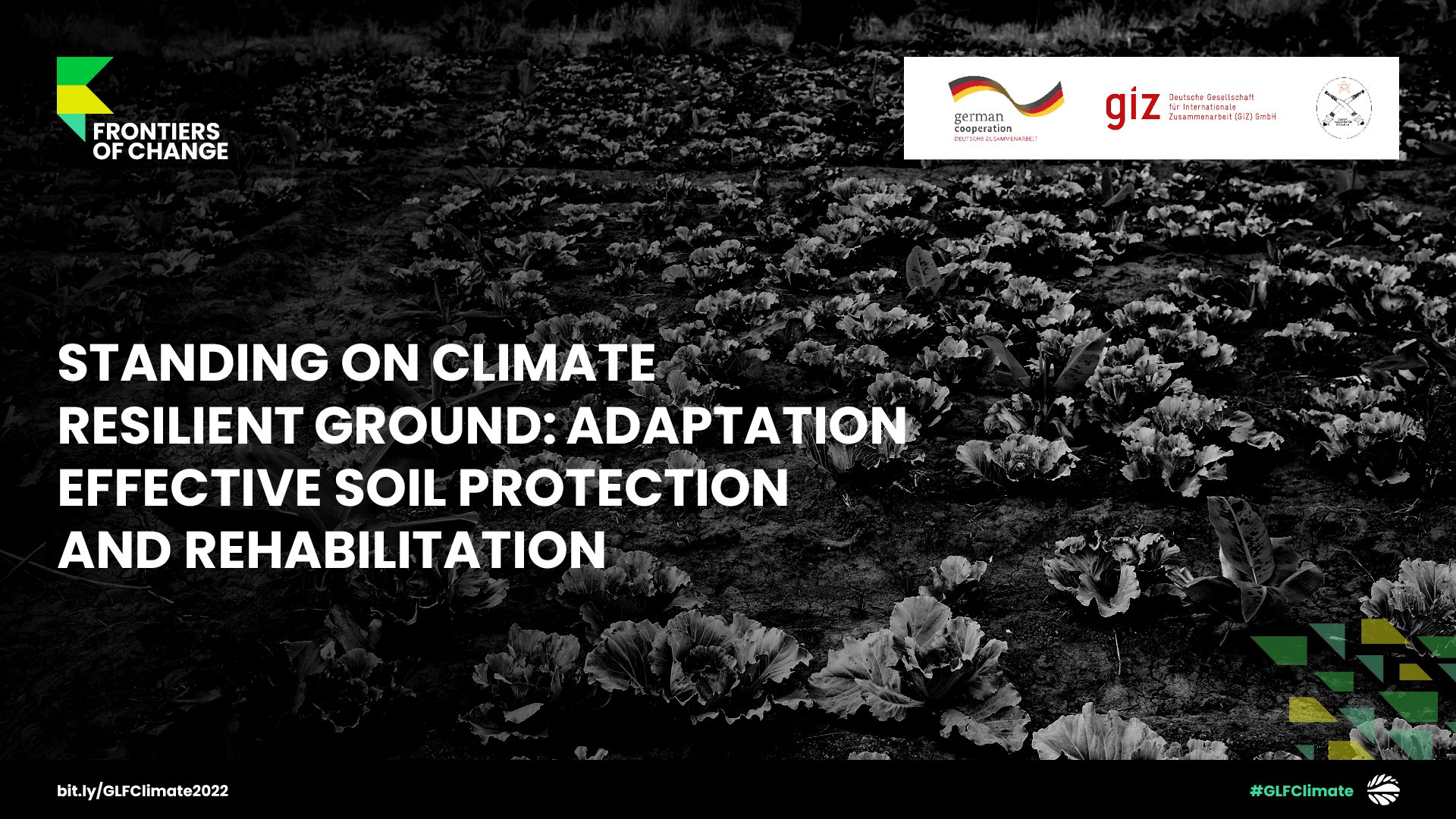 Standing on climate resilient ground