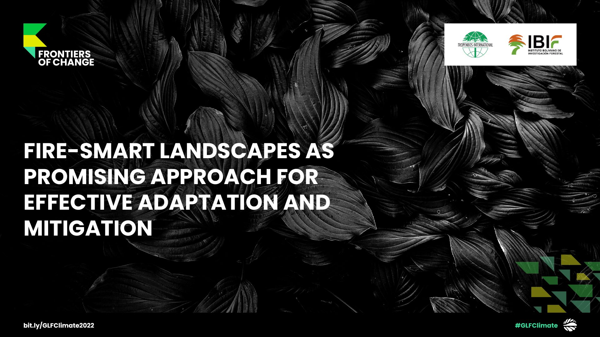 Fire-smart landscapes as promising approach for effective adaptation ...