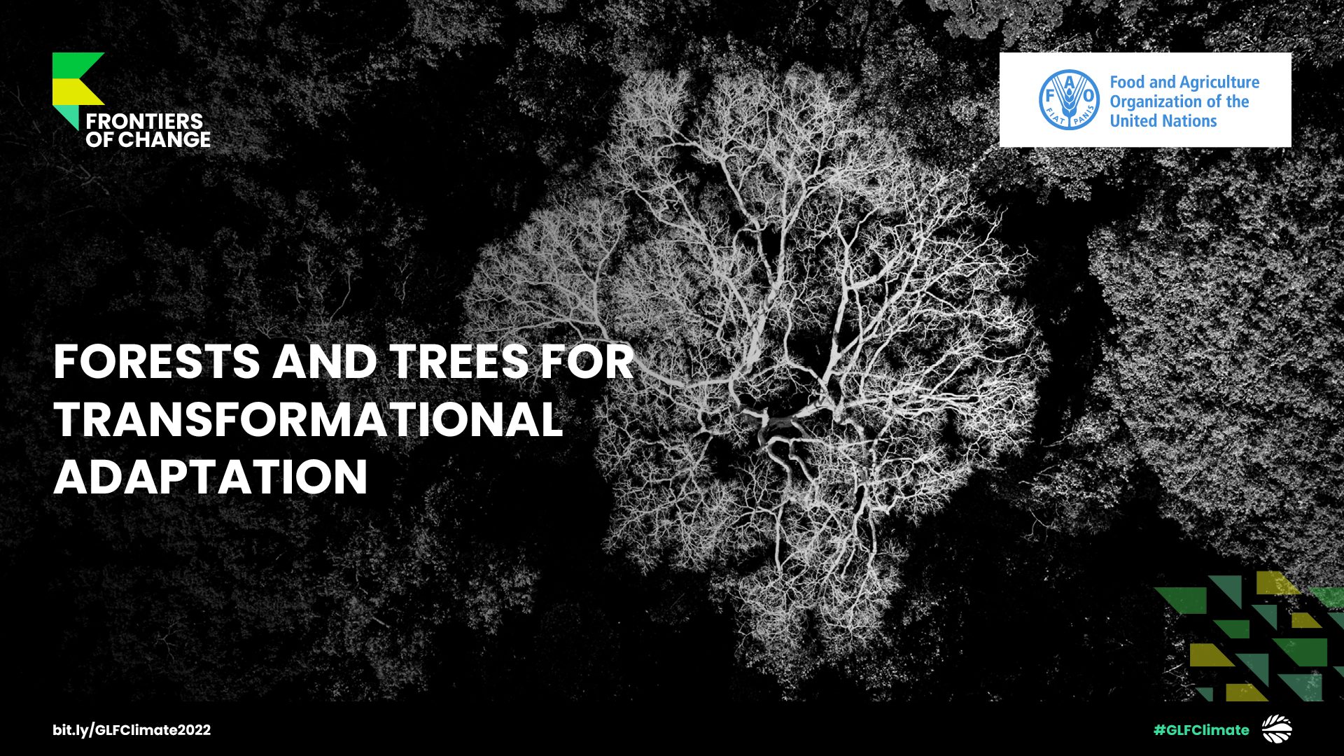 Forests and trees for transformational adaptation
