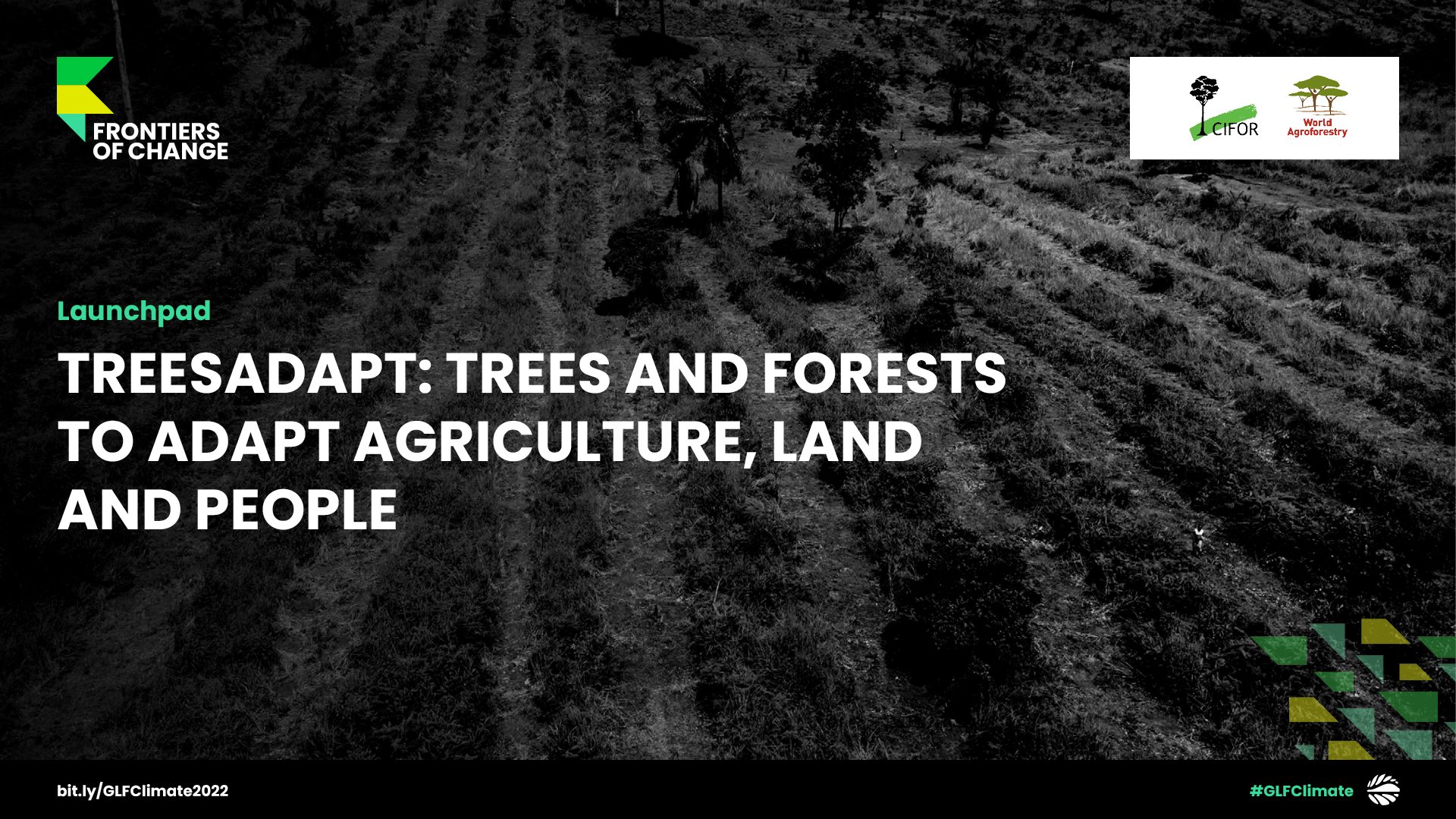 TreesAdapt: trees and forests to adapt agriculture, land and people