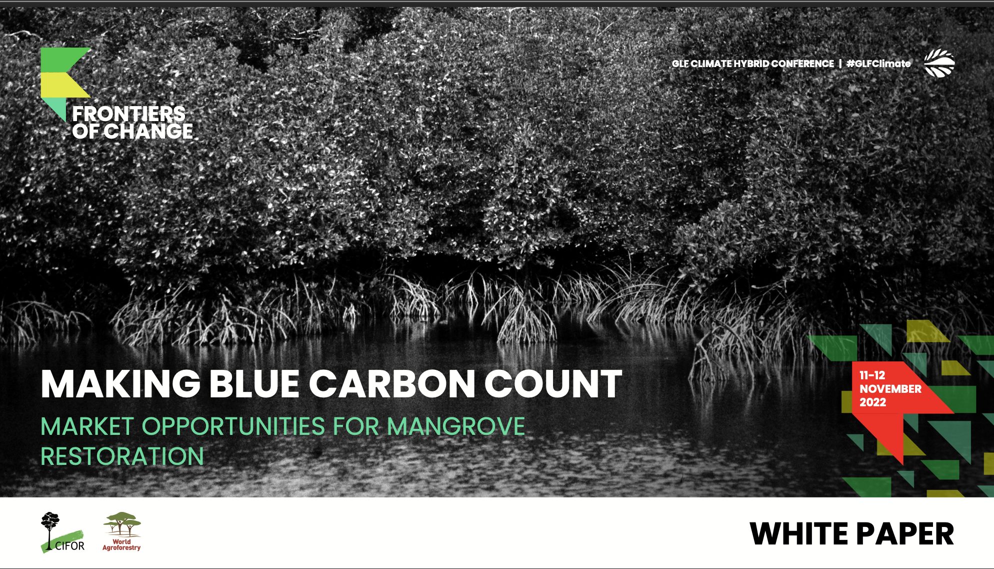 Making blue carbon count