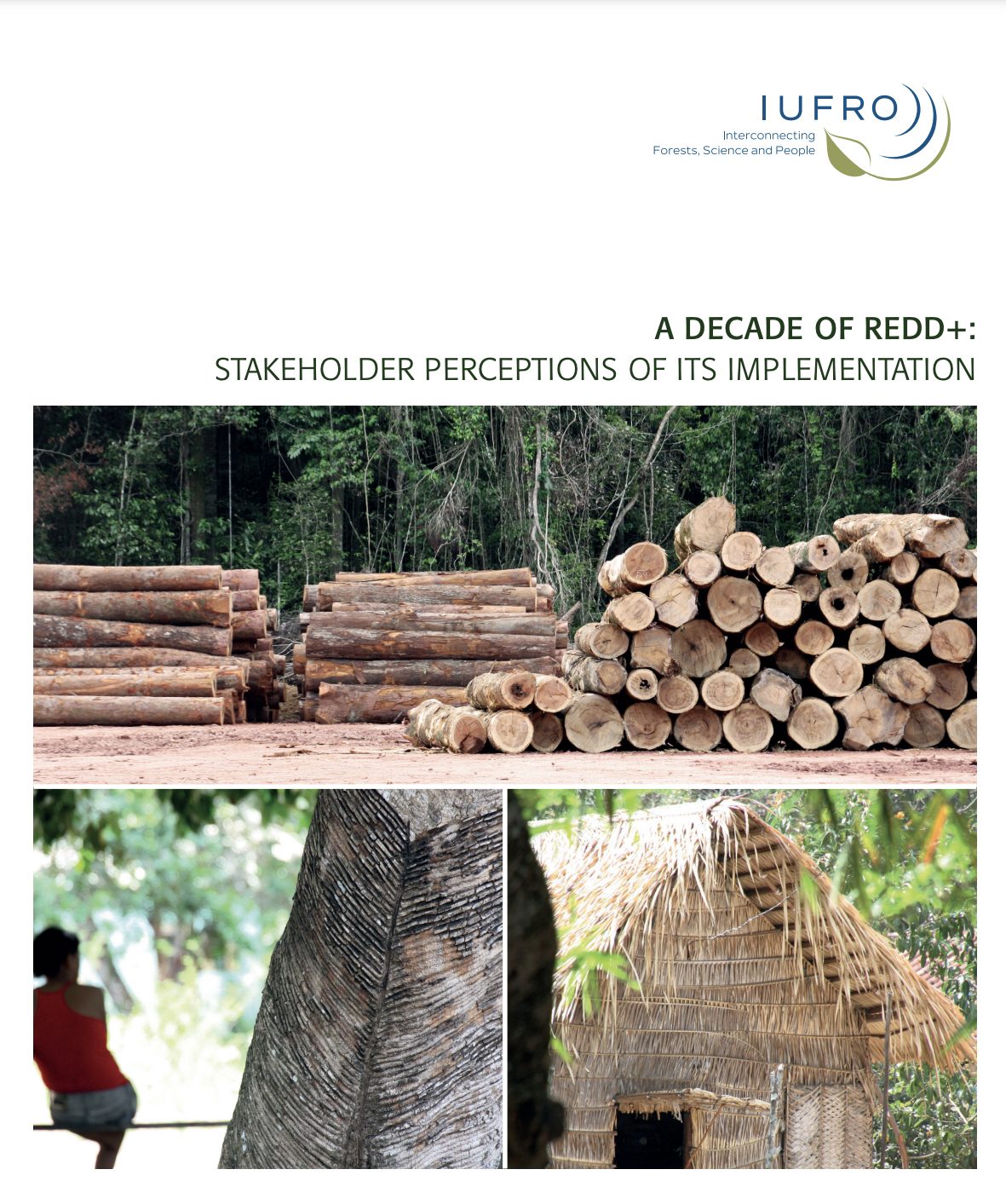 A decade of REDD+: stakeholder perceptions of its implementation