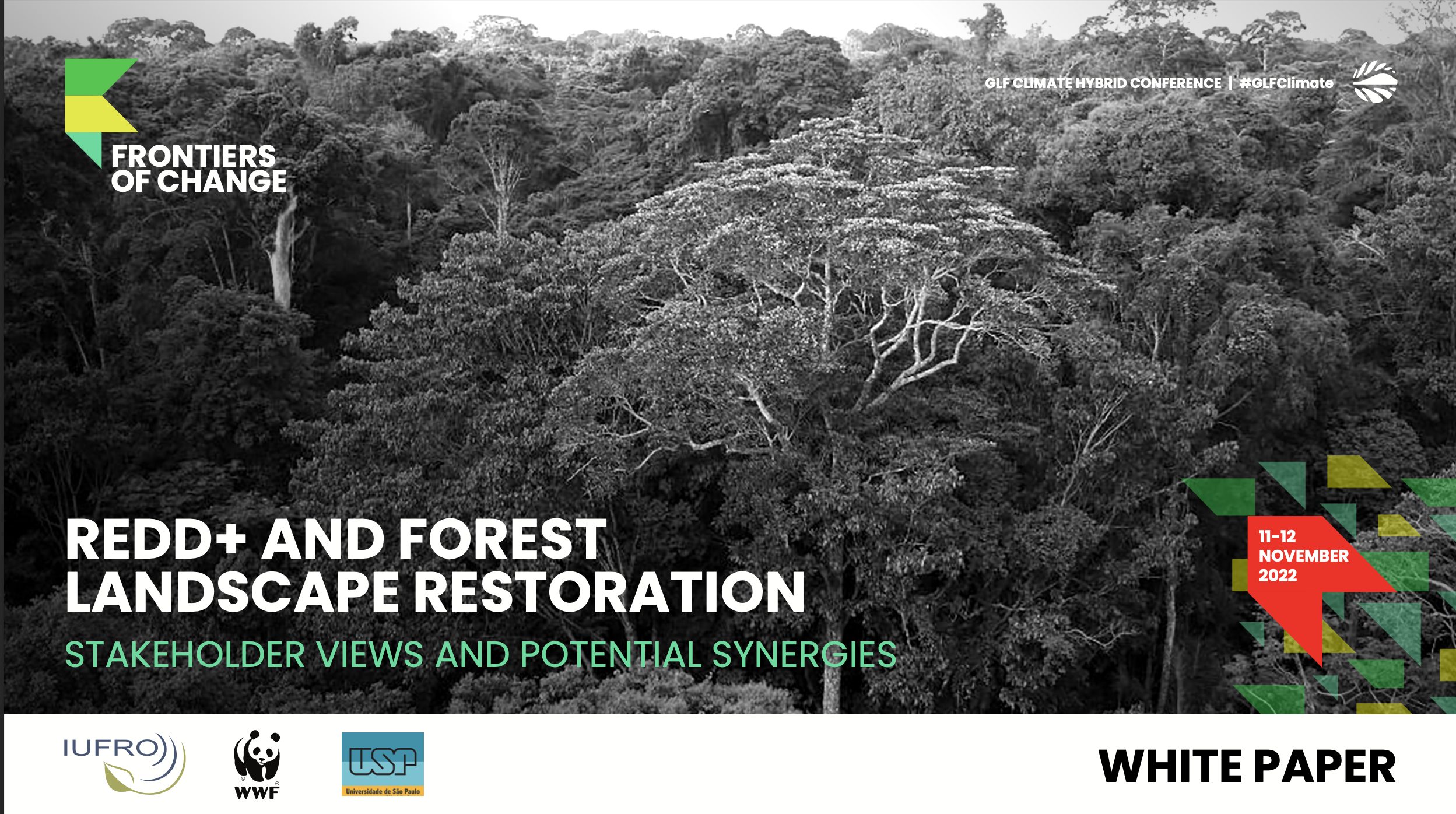 Publication: REDD+ and Forest Landscape Restoration (FLR)