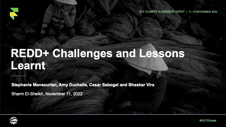 REDD+ challenges and lessons learnt