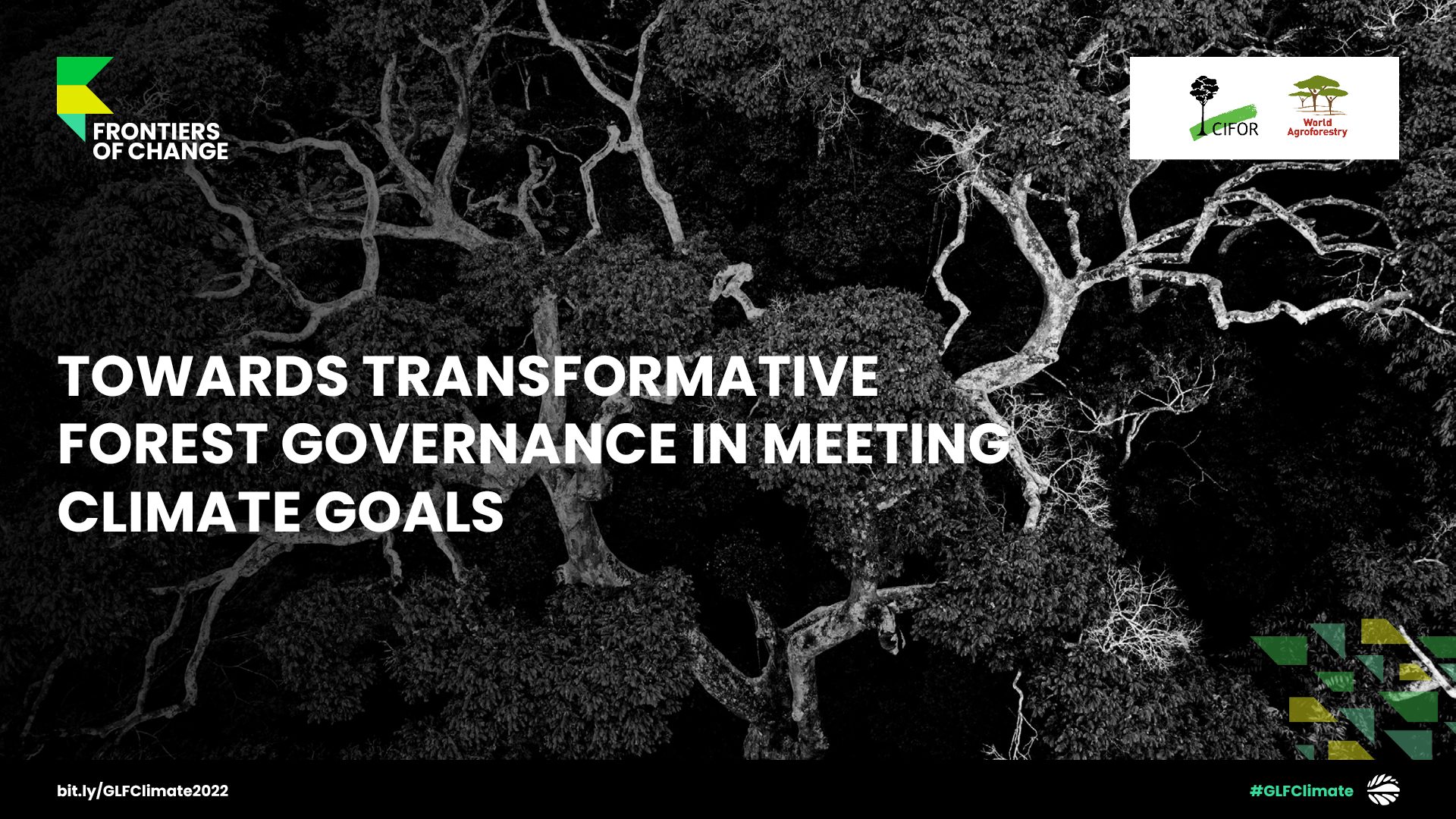 Towards transformative forest governance