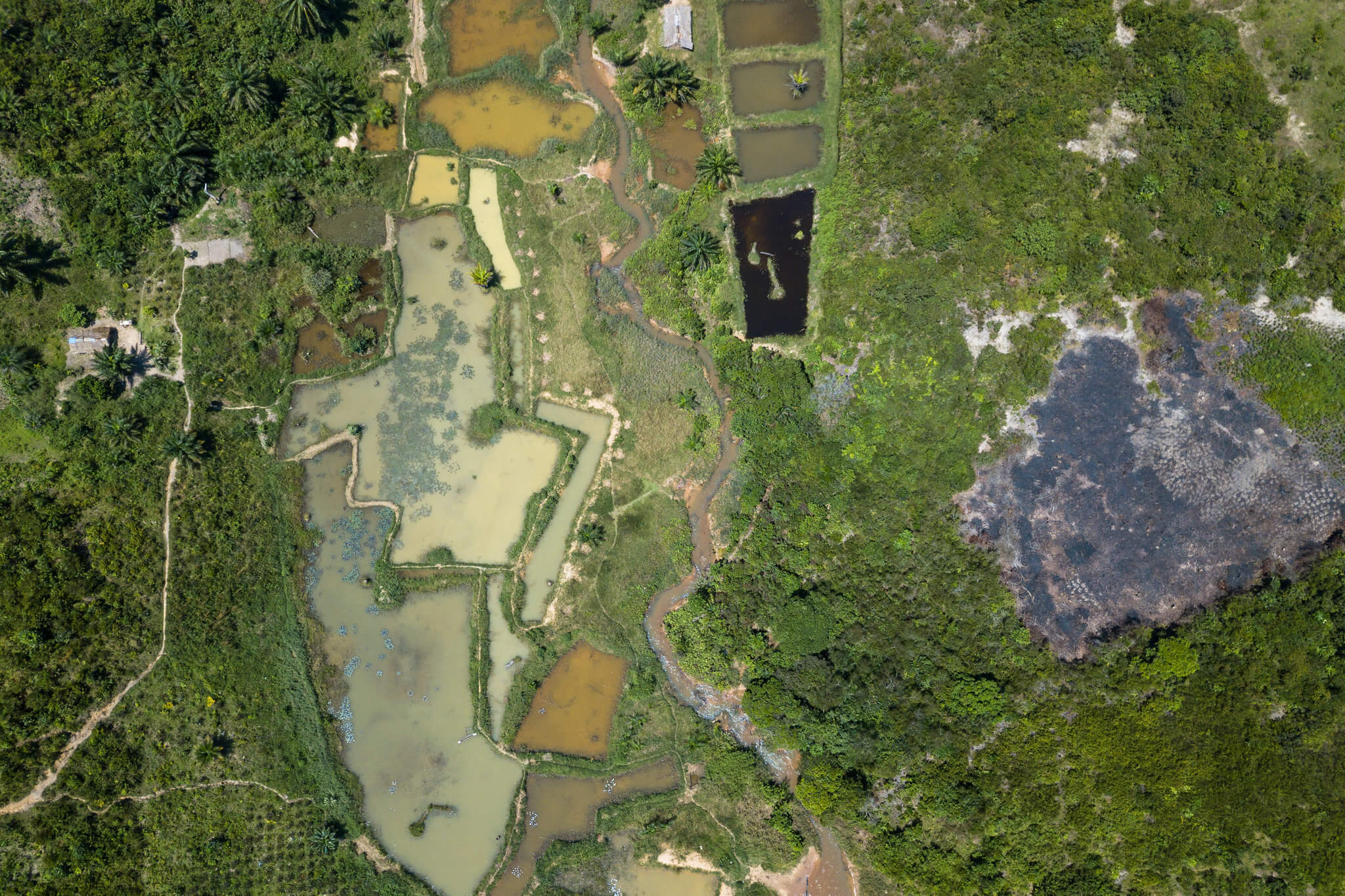 Explore investable nature-based projects - Global Landscapes Forum
