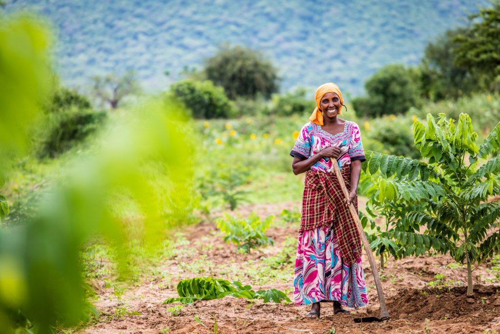 Climate solutions in action