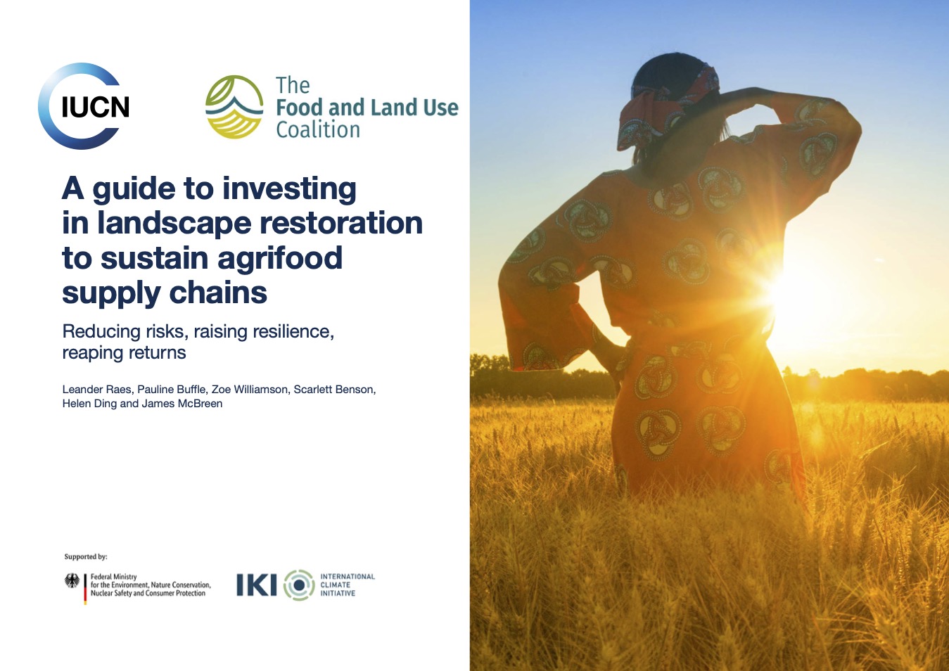 A guide to investing in landscape restoration to sustain agrifood ...