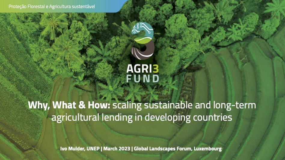 Agricultural lending in developing countries