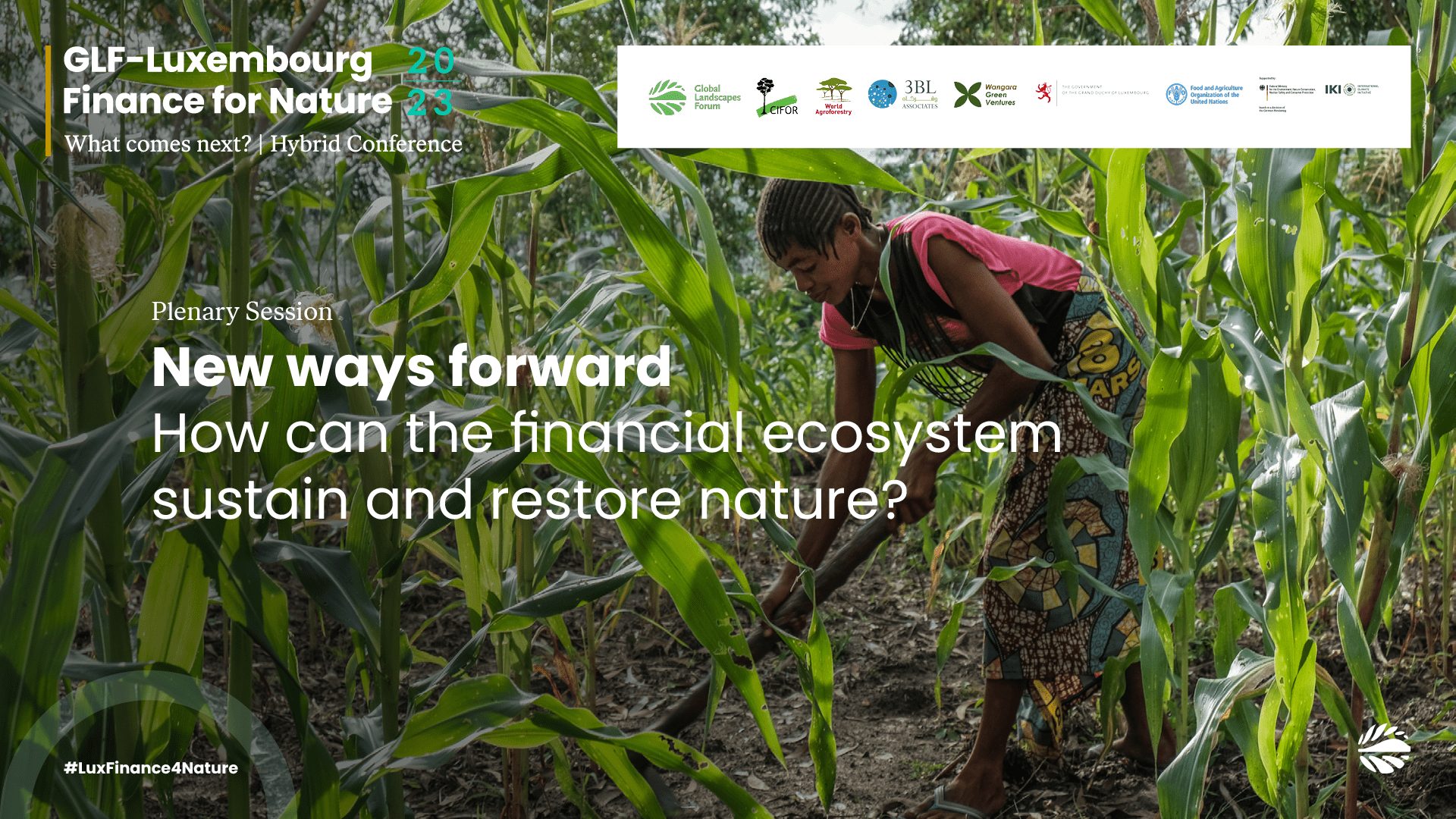 New ways forward: How can the financial ecosystem sustain and restore ...