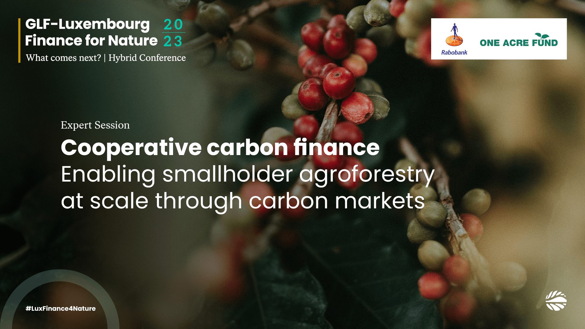 Cooperative carbon finance