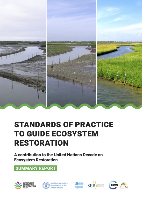 Standards of practice to guide ecosystem restoration