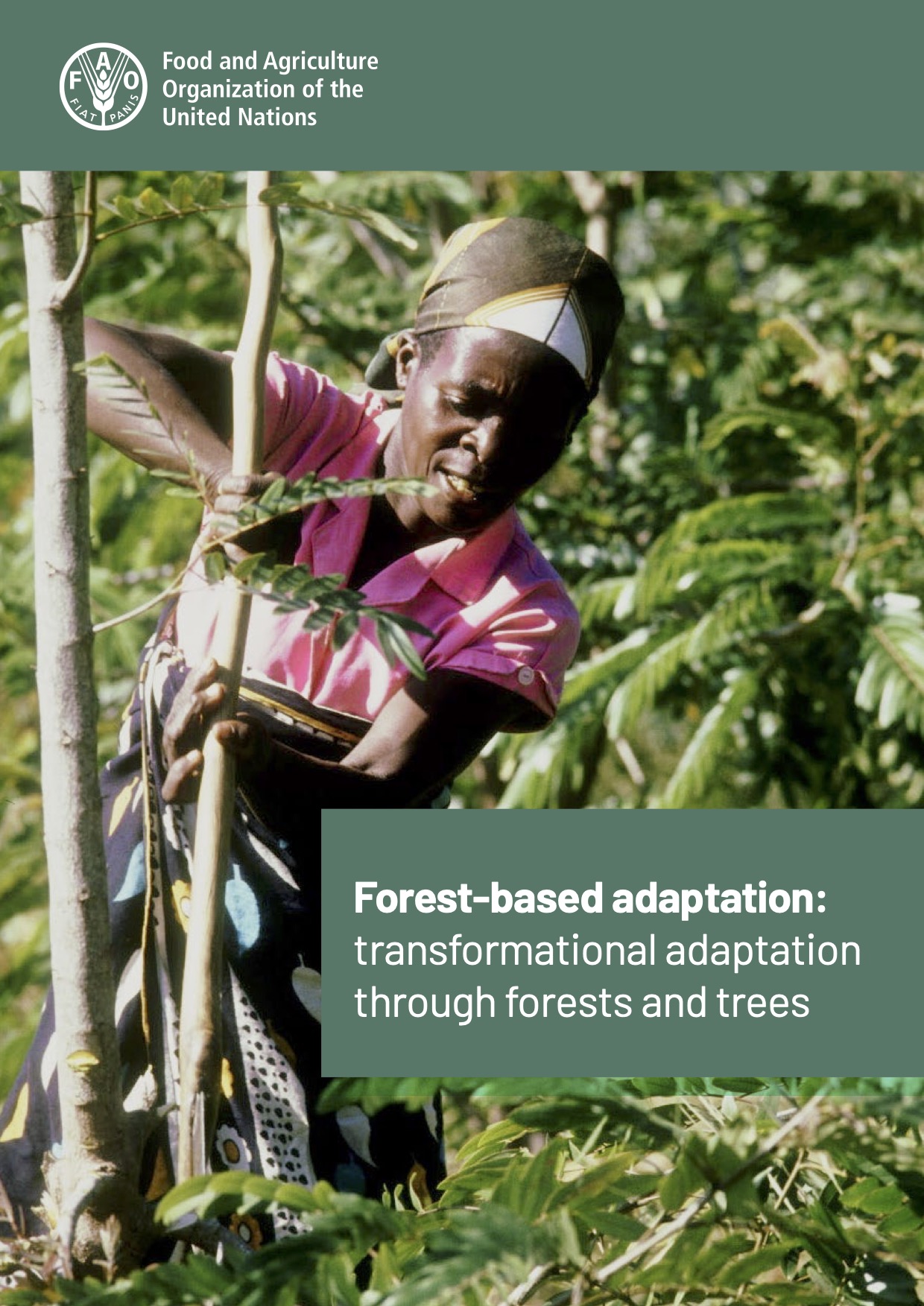 Forest-based adaptation